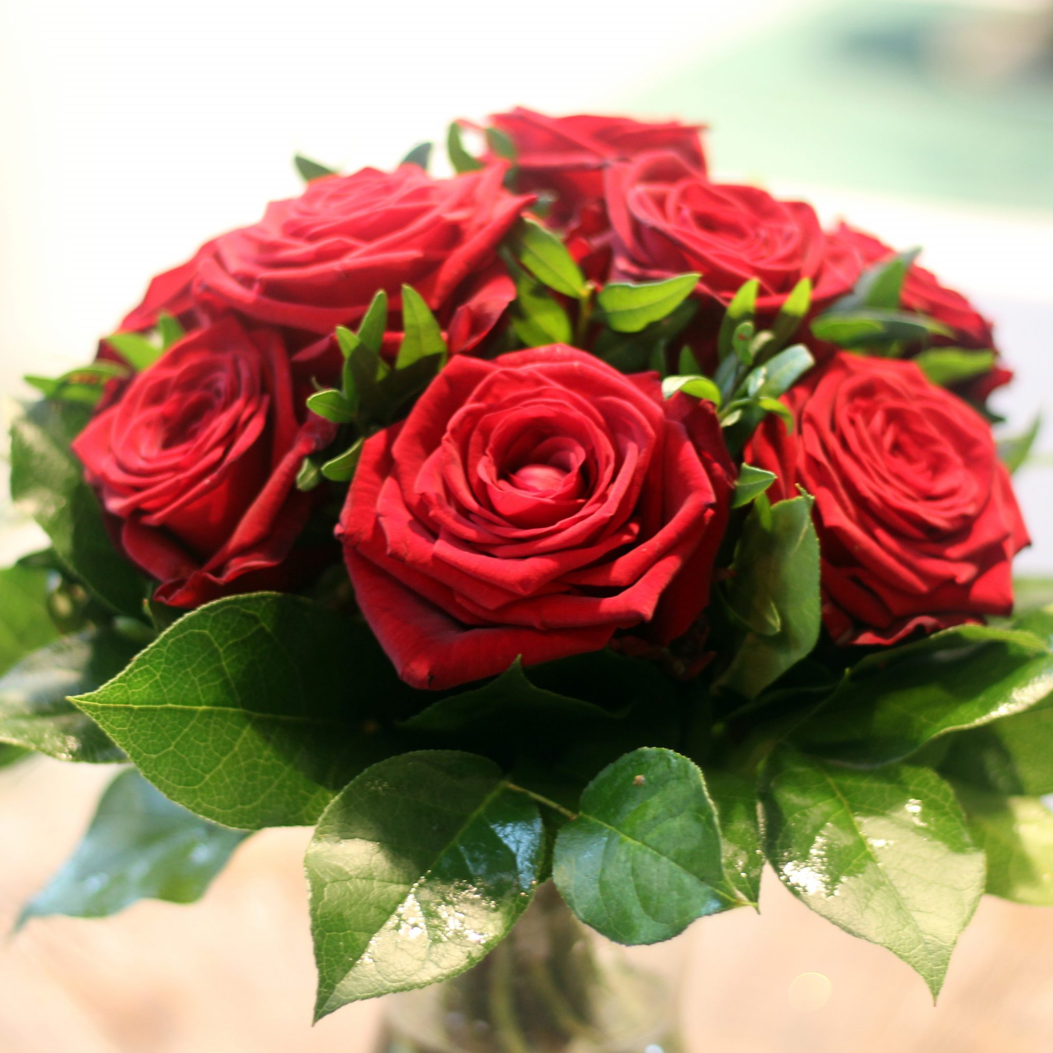 Der Rosenstrauß „kompakt“ – Blattwerk